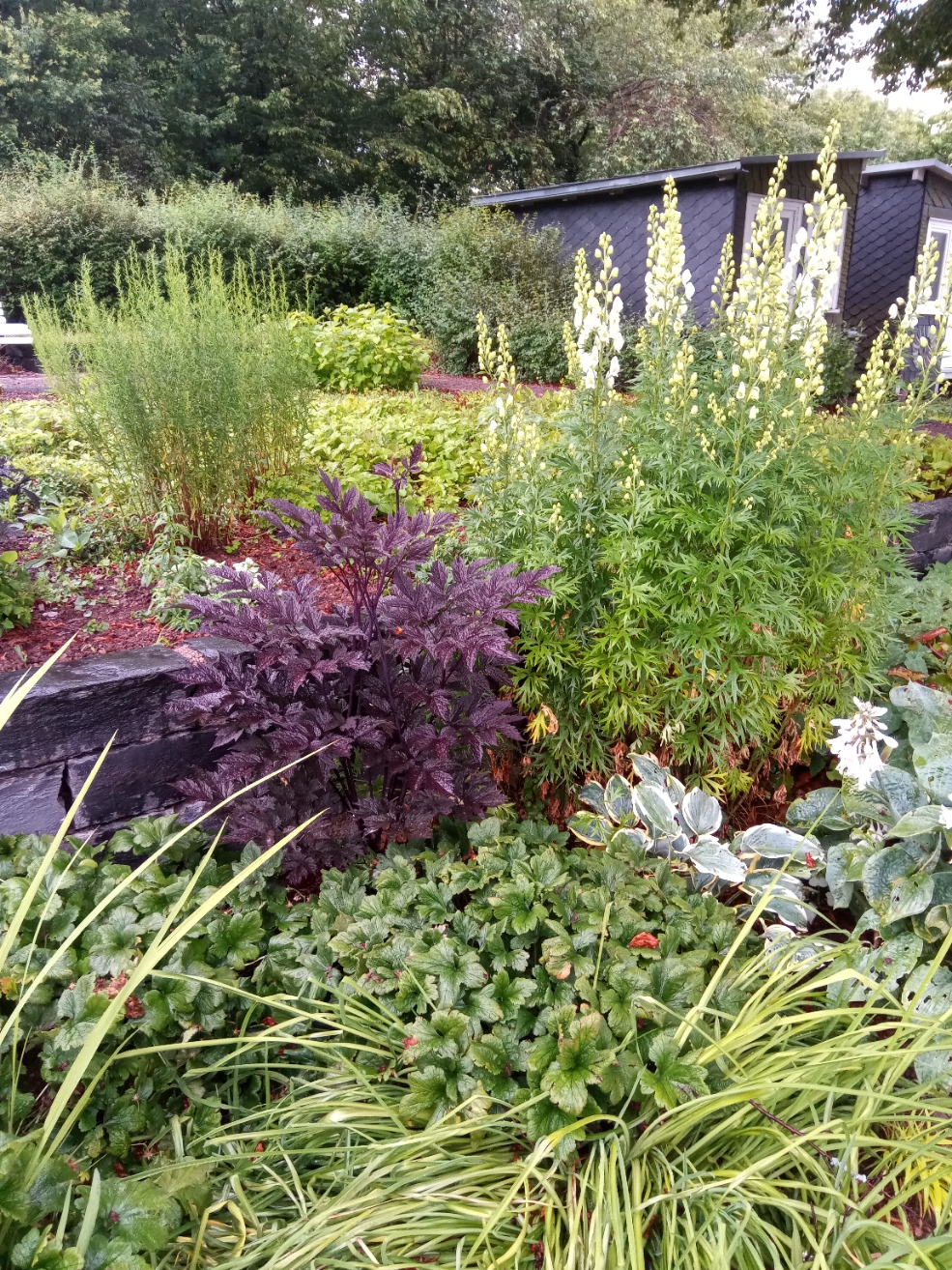 Staudengarten mit Aussicht... - Gartenplanung online - online gartenwelt